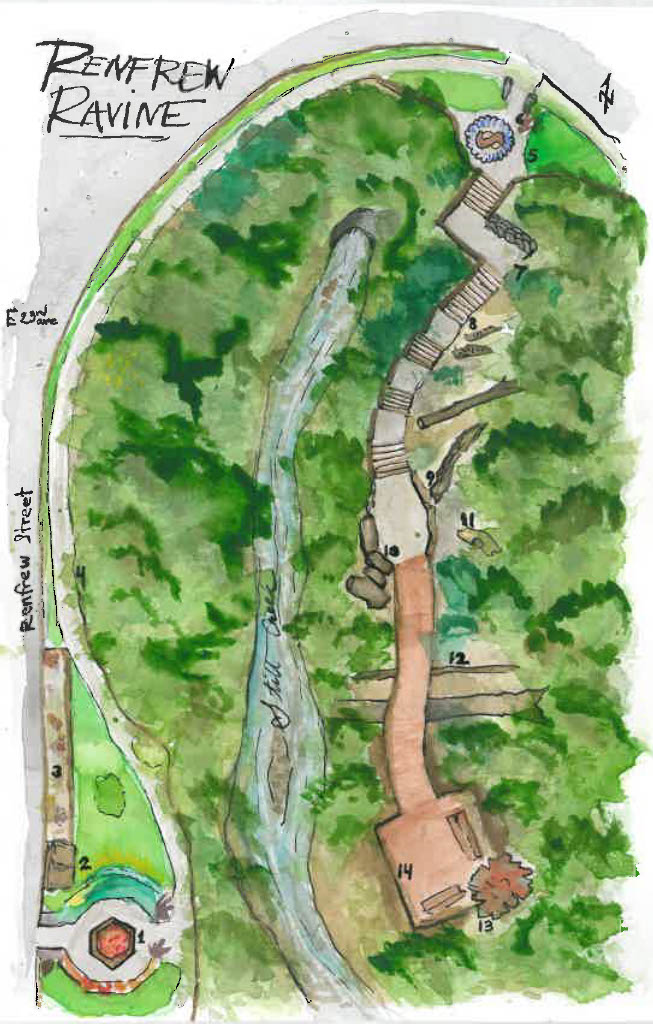 Audio walks – Walking the Mycelial Web